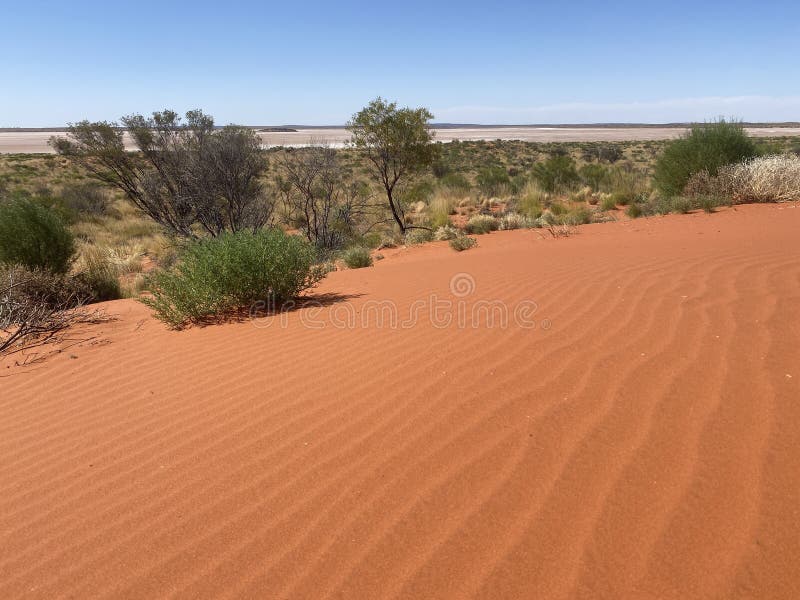 Australian Desert Near Uluru Stock Photo - Image of dunes, outback ...