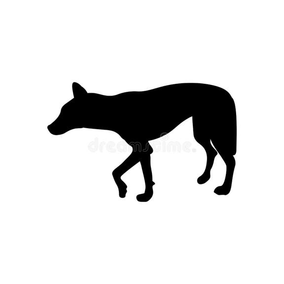Dingo Stock Illustrations – 1,854 Dingo Stock Illustrations, Vectors ...