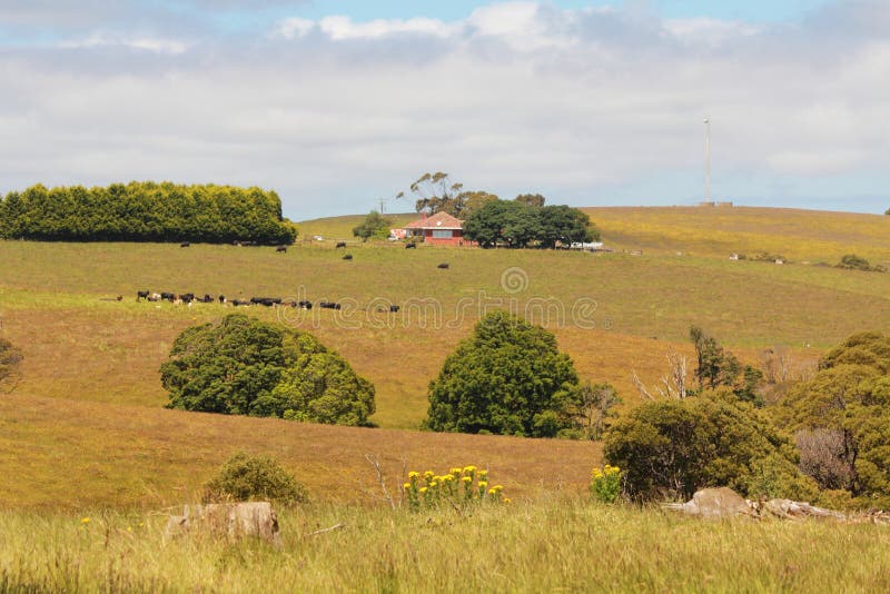 Australian farm land stock photo. Image of farm, south - 106738406