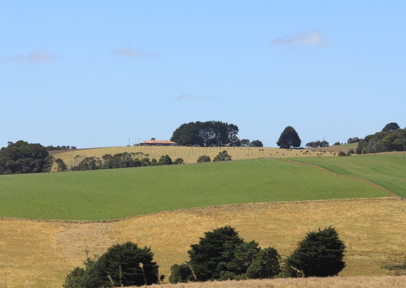 Australian Farm Scene stock image. Image of grass, driveway - 2780783