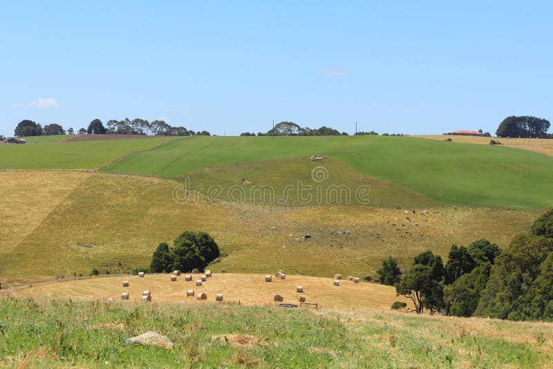 Australian Farm Landscape Scene Stock Photo - Image of path, daybreak ...