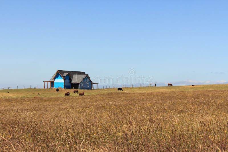Australian Farm Landscape Scene Stock Photo - Image of path, daybreak ...