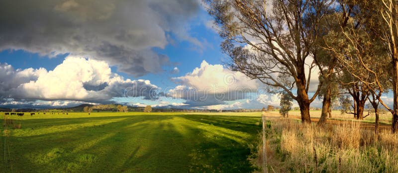 Australian farmland stock photo. Image of natural, crack - 50595258