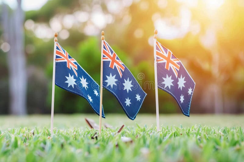 Australian Flags on Grass in Sunlit Outdoor Setting Stock Illustration ...