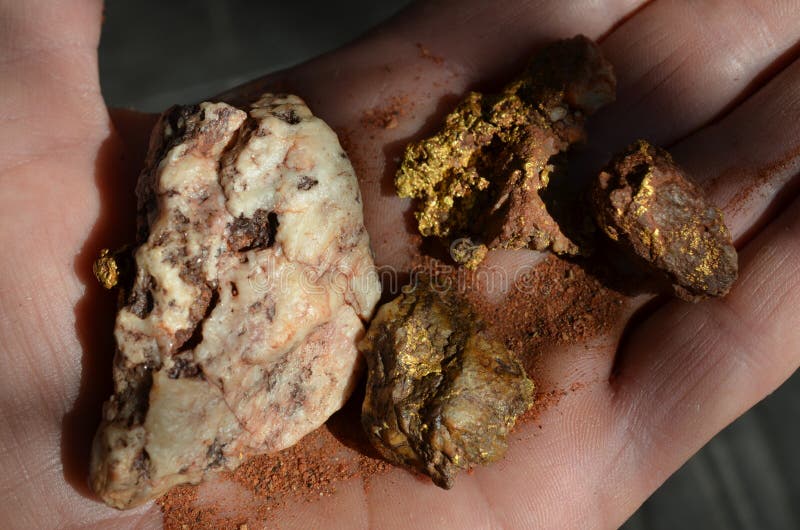 Gold specimen stock photo. Image of specimen, rare, precious - 31387018