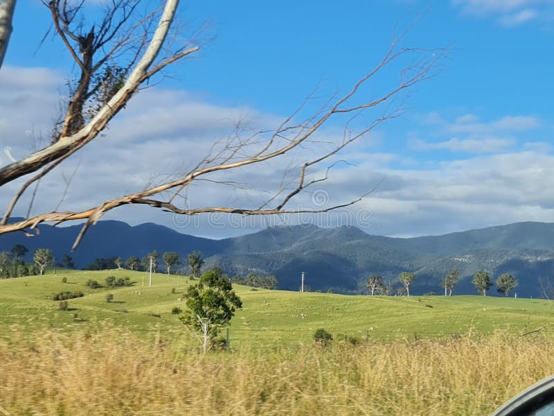 Australian Grassy Plains and Greenery Stock Photo - Image of nature ...