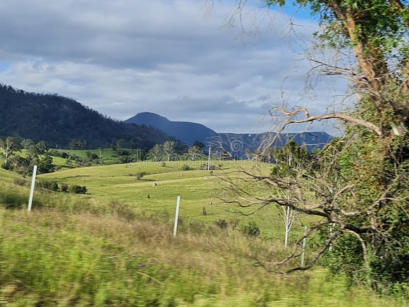 Australian Grassy Plains and Greenery Stock Image - Image of wilderness ...