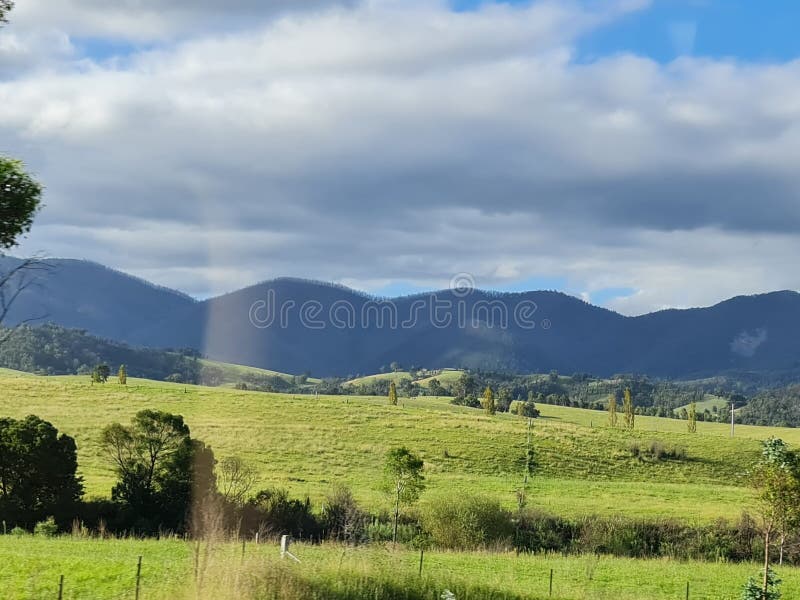 Australian Grassy Plains and Greenery Stock Image - Image of flower ...