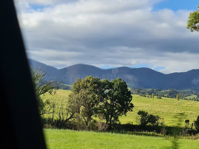 Australian Grassy Plains and Greenery Stock Image - Image of branch ...