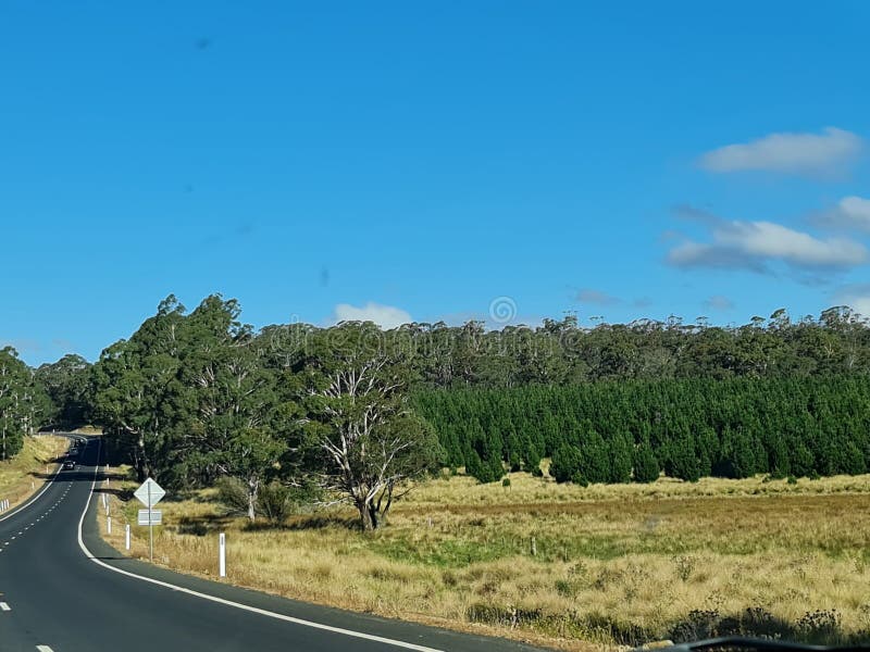 Australian Grassy Plains and Greenery Stock Photo - Image of plain ...