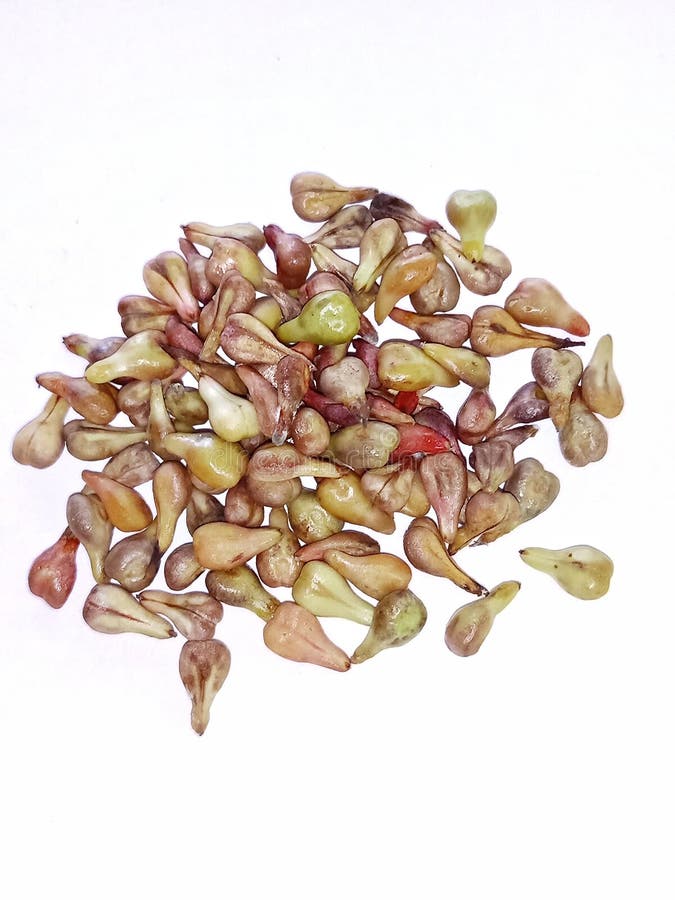 Australian Green Grape Seed. Stock Photo - Image of detail, grape ...