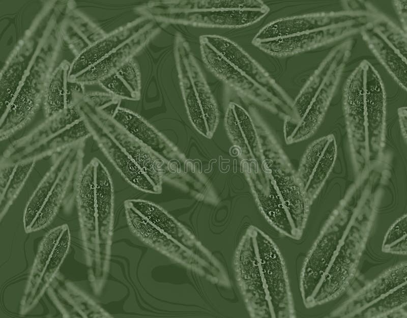 Australian Gum Leaf Pattern on Green Background Stock Illustration ...