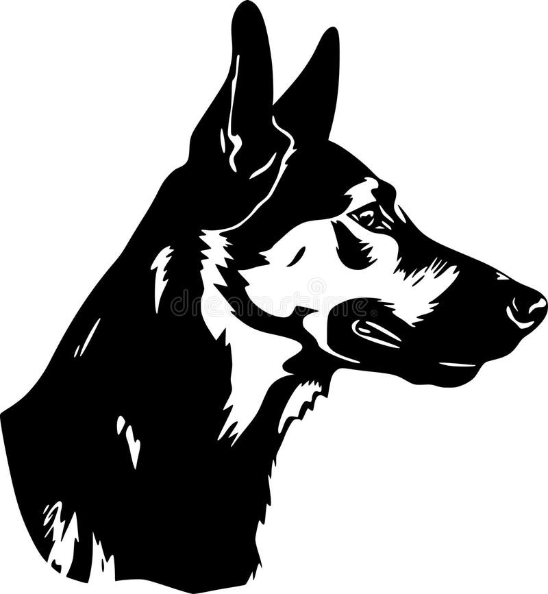 Australian Kelpie - Black and White Isolated Icon - Vector Illustration ...