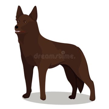 Australian Kelpie Stock Illustrations – 109 Australian Kelpie Stock ...