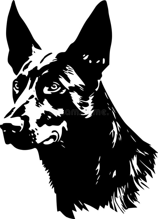 Australian Kelpie - Minimalist and Simple Silhouette - Vector ...