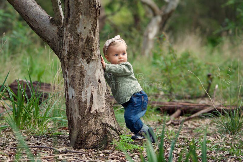 Australian Kid Hiding Behind a Tree Stock Image - Image of nature ...