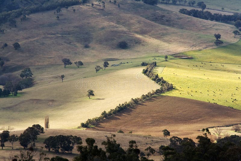 Australian Landscape and Agriculture Fields Stock Image - Image of ...