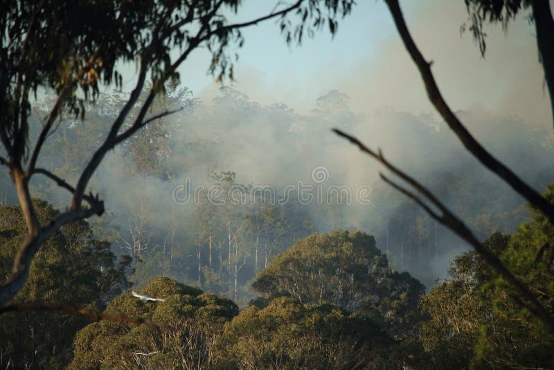 Australian Landscape with Smoke. Stock Image - Image of northern ...