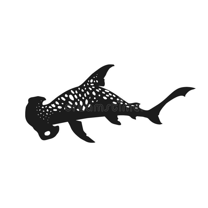 Spotted Hammerhead Shark Illustration. Isolated Image Stock Vector ...