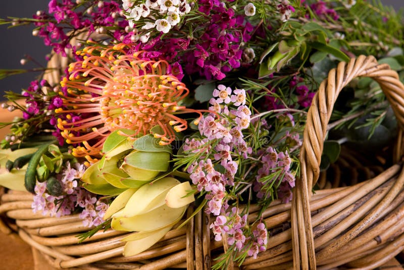 Australian Native Flower Bouquet Stock Photo - Image of beautiful ...
