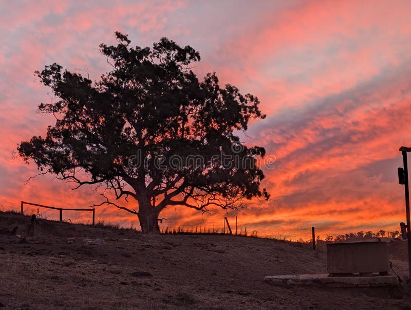 Australian Orange Summer Sunset Stock Photo - Image of orange ...