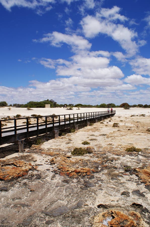 Australian outback stock image. Image of plant, bridge - 12096931
