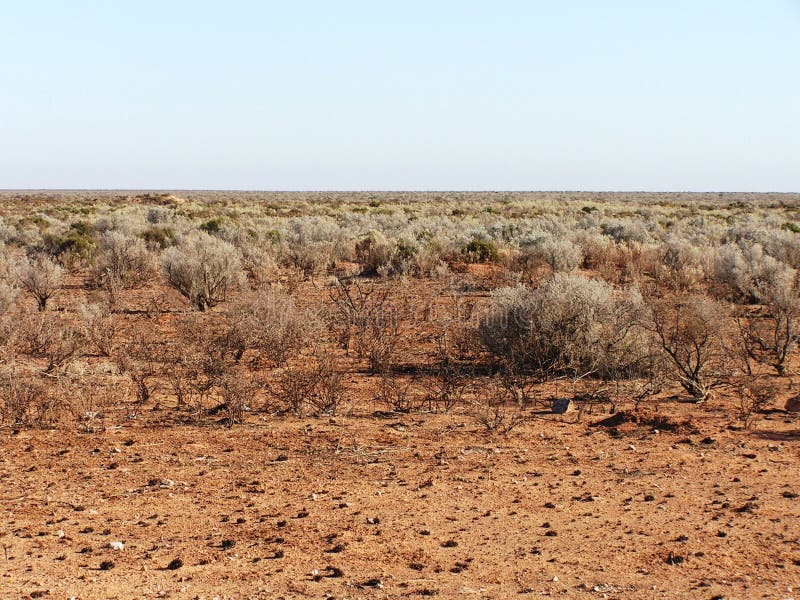 Australian Outback stock photo. Image of australian, desert - 13032572