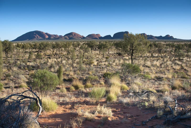 Australian Outback stock photo. Image of vista, nature - 13794142