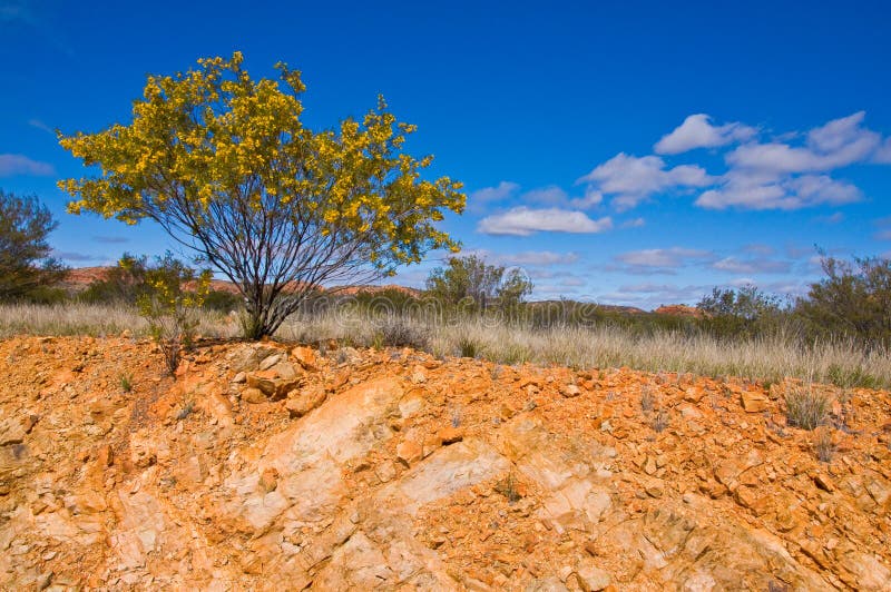 Australian Outback Picture. Image: 17472328