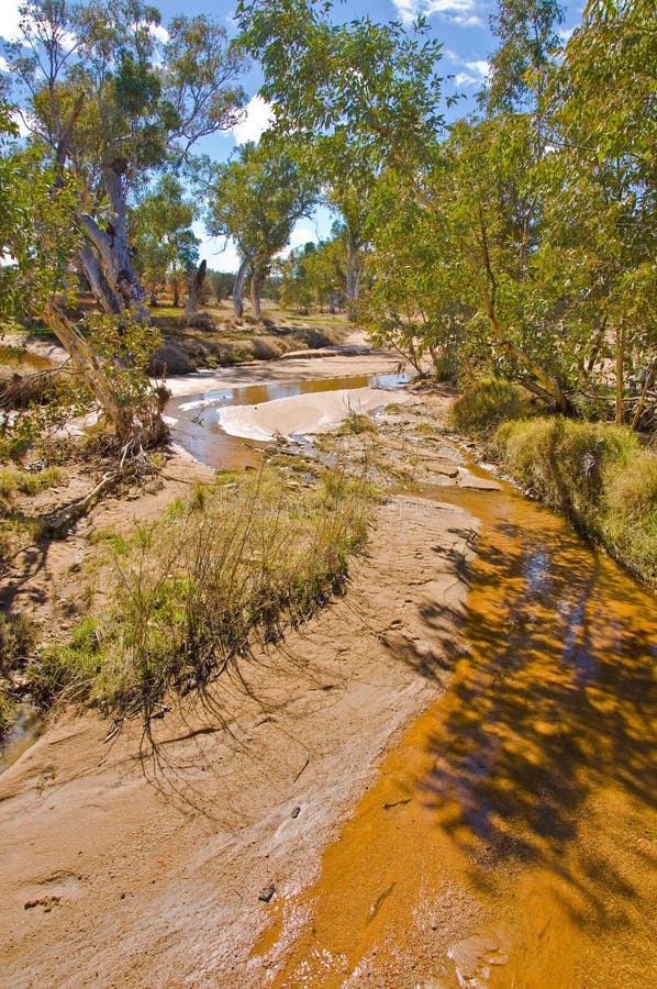 Soil Erosion by Overgrazing Desertification Stock Image - Image of ...