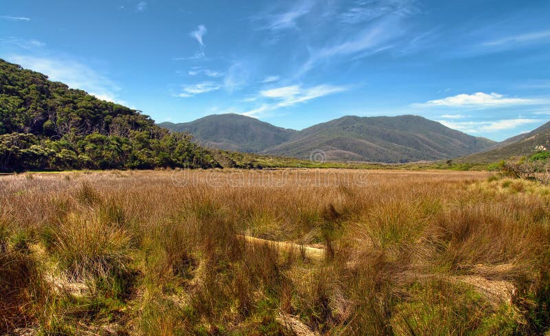Australian outback stock image. Image of ground, farming - 26964919