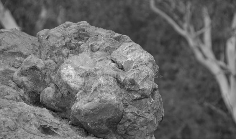 Australian Outback Signs stock photo. Image of symbols - 13793096