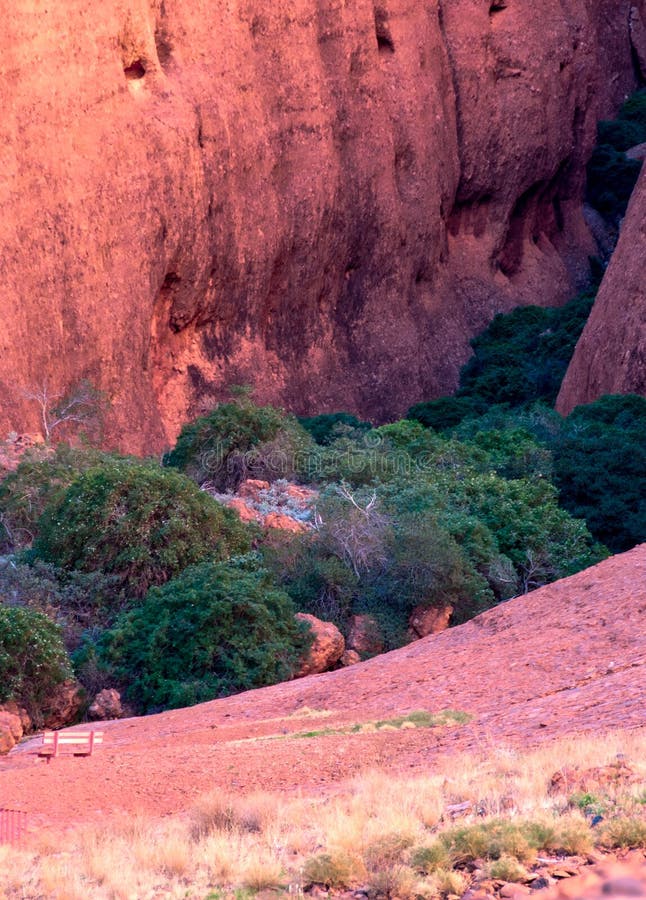 Australian Outback stock photo. Image of colorful, scenery - 229137638