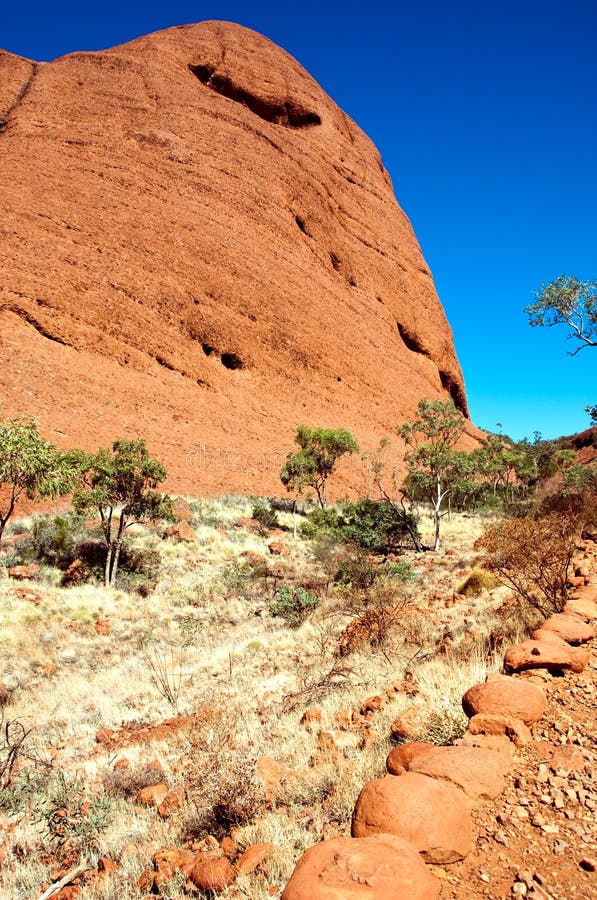 Australian Outback stock photo. Image of desert, isolated - 75328306