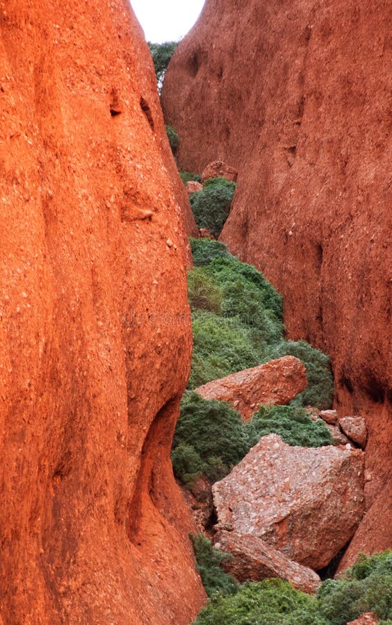 Australian Outback stock photo. Image of country, central - 75992676