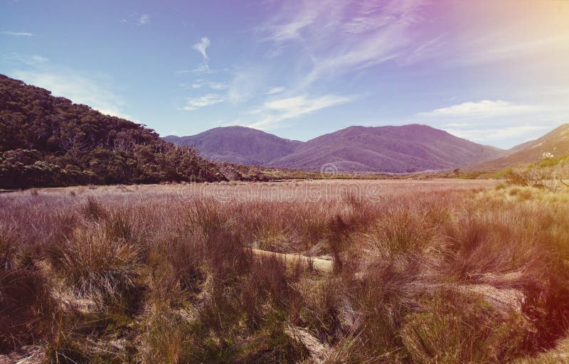 Australian outback stock photo. Image of scenery, clouds - 60812538