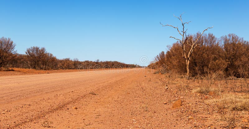 Lonely Outback Desert Tree Australia Stock Image - Image of heat ...