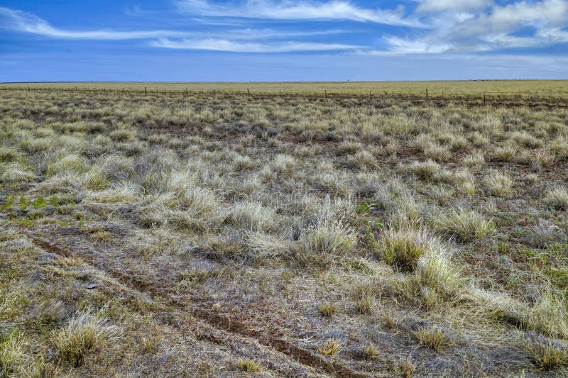 Australian Outback in the Dry Season Stock Image - Image of native ...