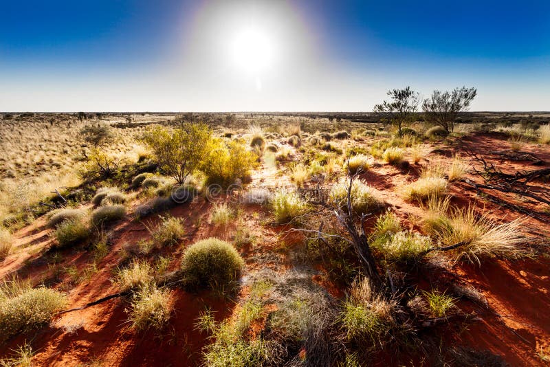 Australian outback stock image. Image of aussie, natural - 32646905