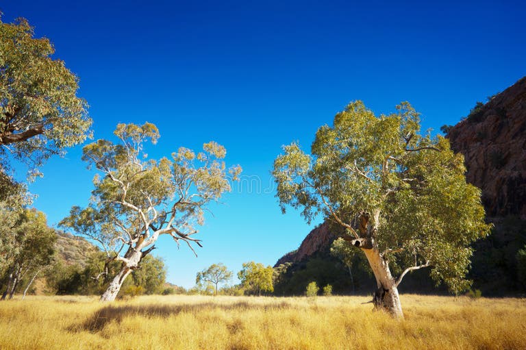 Australian Outback Landscape Stock Photo - Image of blue, peaceful ...