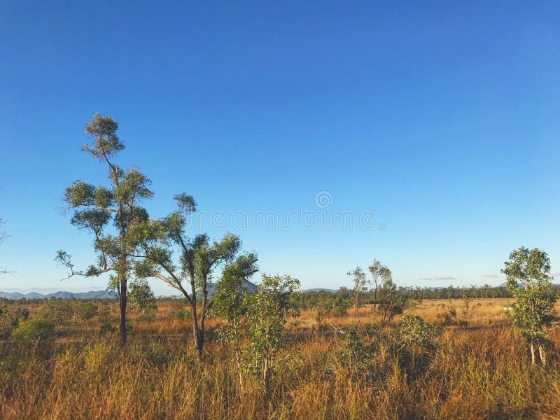 Australian outback stock photo. Image of summer, outback - 105593486