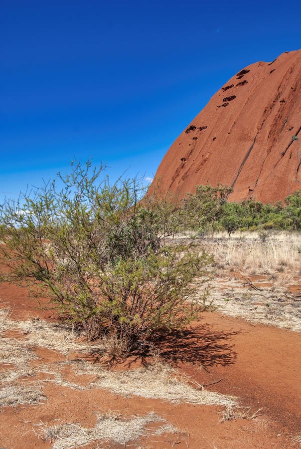Australian Outback Vegetation and Red Rocks, Northern Territory Stock ...