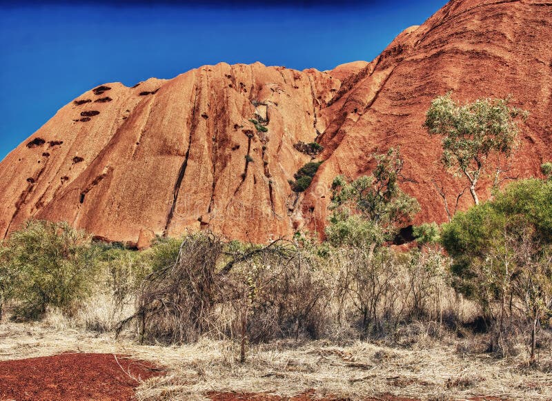 Australian Outback Vegetation and Red Rocks, Northern Territory Stock ...