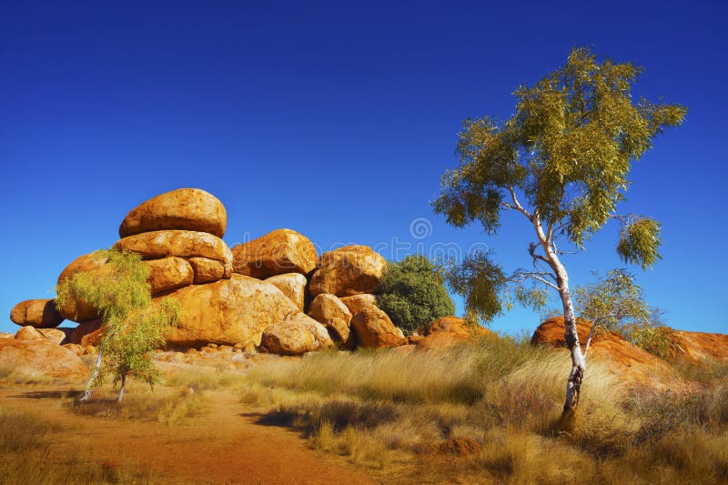 Australian Outback stock image. Image of australia, environmental ...