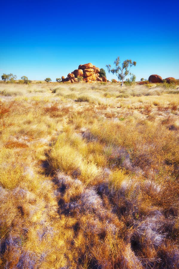 Australian Outback scene stock image. Image of australia - 19626799