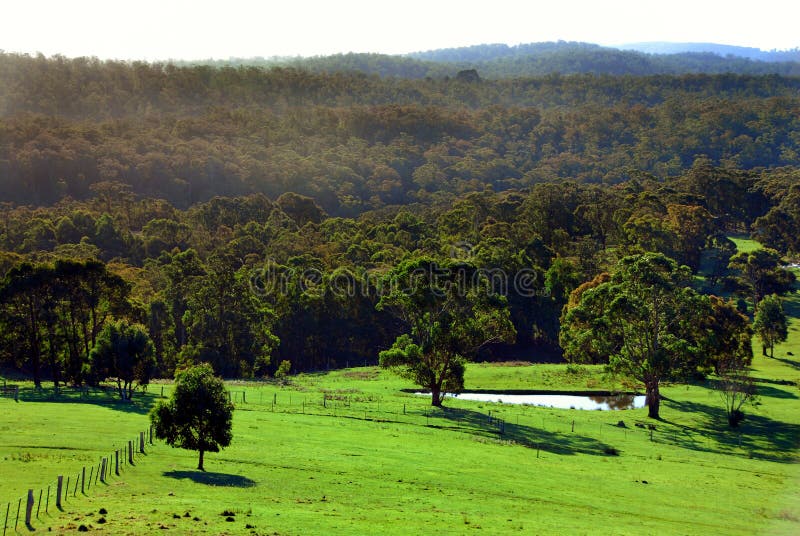 Yarra Valley stock photo. Image of farmland, yarra, lake - 8231466