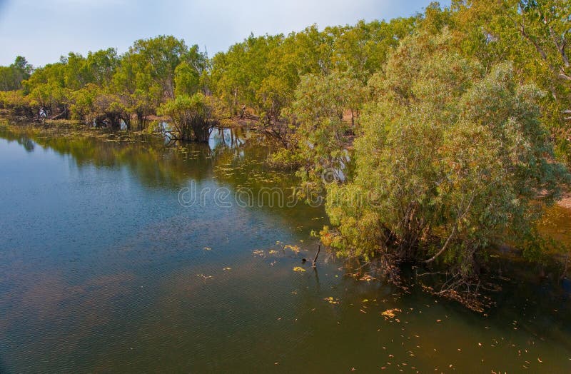 Australian river stock image. Image of environment, natural - 18489393