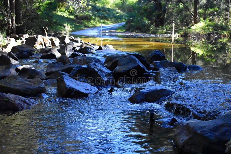 Australian River stock photo. Image of australia, fall - 95491958