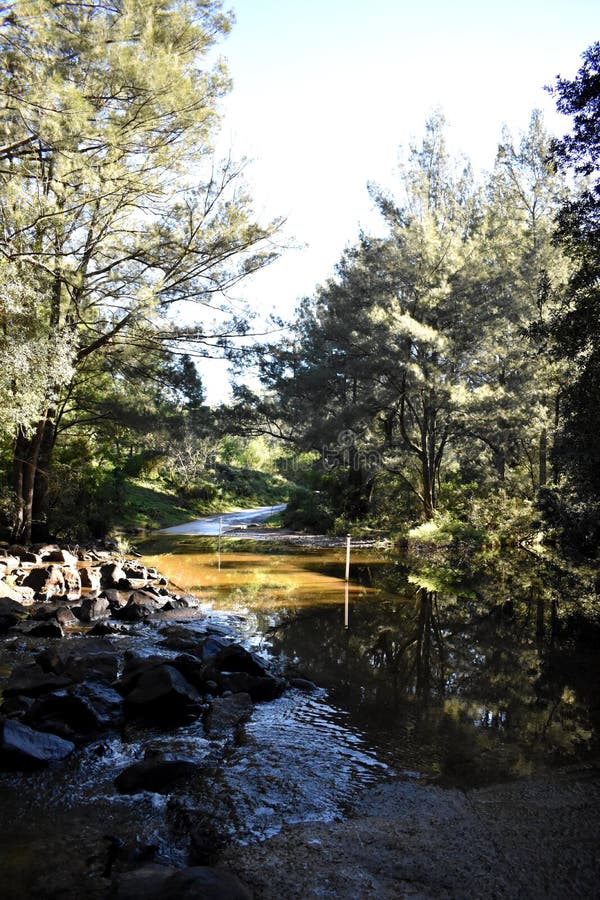 Australian River stock image. Image of fresh, blue, branch - 95492901