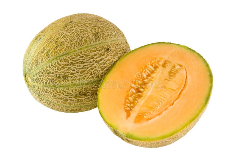 Australian rockmelon stock photo. Image of melon, nature - 1541330